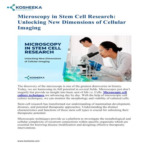 Microscopy in Stem Cell Research: Unlocking New Dimensions of Cellular ...