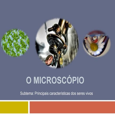 O Microscópio | PPTX