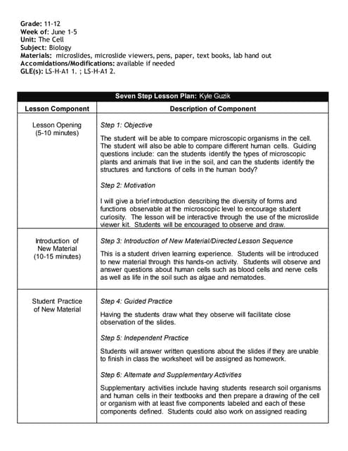 Lesson Plan no 1.docx