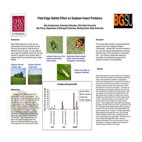 Field Edge Habitat Effect on Soybean Insect Predators | PDF