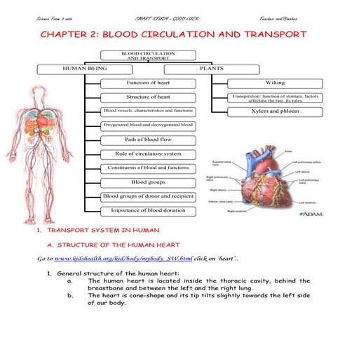 Form 3 Science Chapter 2 | PDF