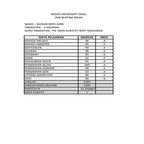 Microsoft excel | PDF