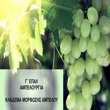 ΠΑΔ.3.ΚΛΑΔΕΜΑ ΜΟΡΦΩΣΗΣ ΑΜΠΕΛΟΥ ΣΤΑ ΠΛΑΙΣΙΑ ΤΗΣ ΑΣΠΑΙΤΕ | PPTX