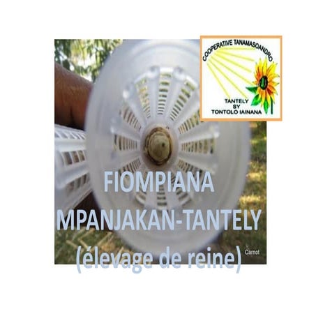 Fiompiana mpanjakan-tantely | PDF