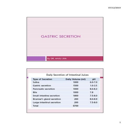 Presentation on the mechanism of HCl production in the stomach | PPTX
