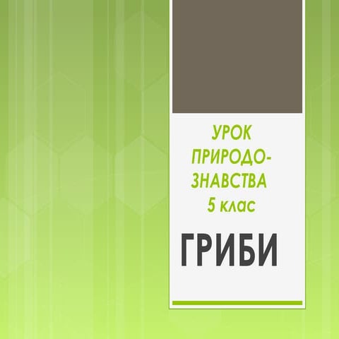 презентация Microsoft power point 97 2003 (2) | PPT