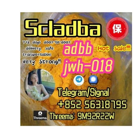 5CL-ADBA,5cladba, the best supplier in China | DOCX