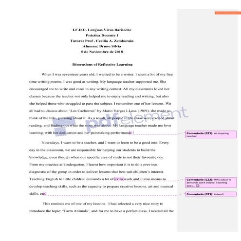 Reflective practice on my teacher identity | PPTX