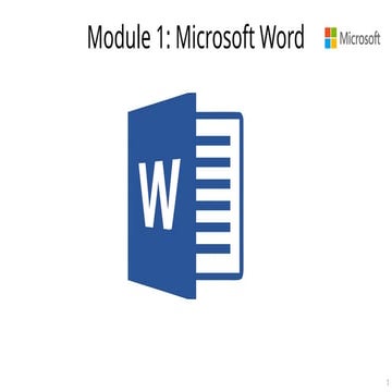 Microsoft Word High Level Overview Slides.pptx