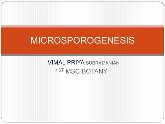 Microsporogenesis | PDF | Gardening | Home & Garden