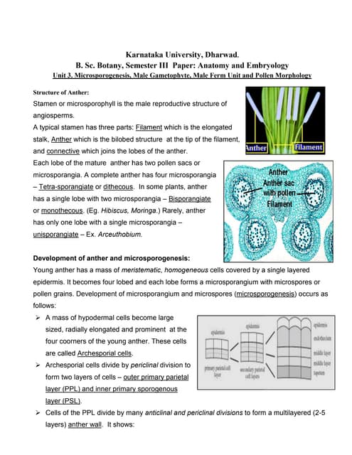 Pollen wall Structure and Male Germ Unit in Plants | PDF
