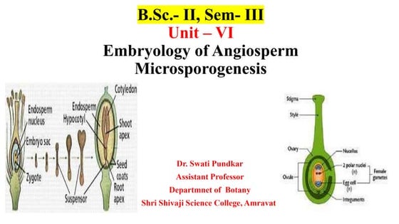 Taxonomic hierarchy | PPTX | Biological Sciences | Science