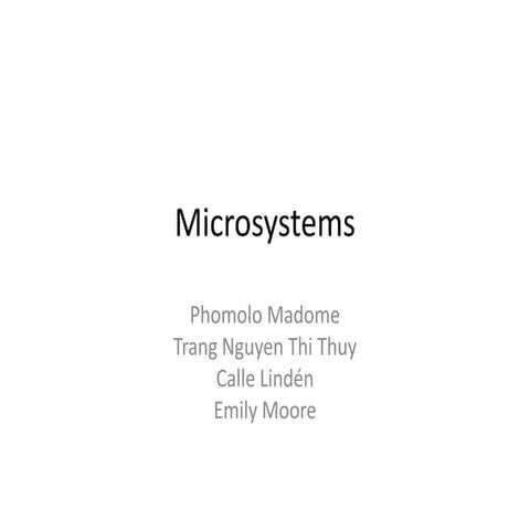 Microsystem3 | PPTX