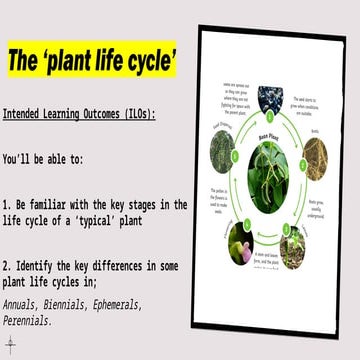 microteach Plant Life cycles powerpoint | PPT