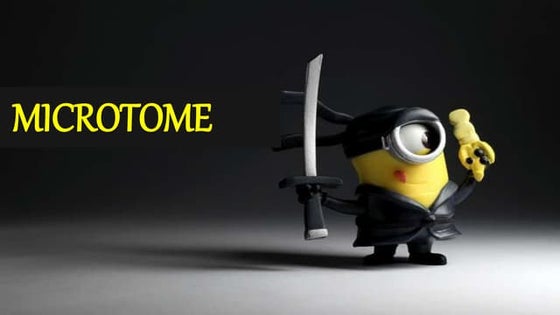 Microtome | PPTX | Physics | Science