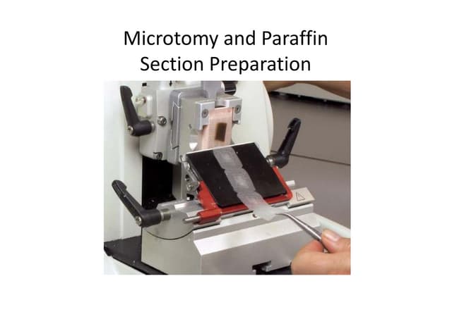 Common Microtome Tissue Sectioning Troubleshooting and Tips.pdf