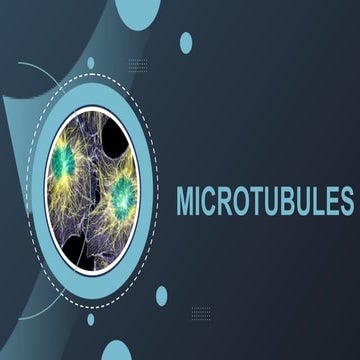 MICROTUBULE.pptxfor educational purposes | PPTX