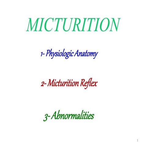 Micturation Reflex (2).pptx