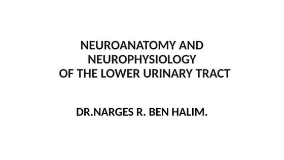 Sources of drugs | PPT