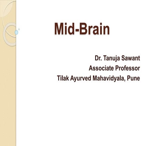Midbrain | PPTX