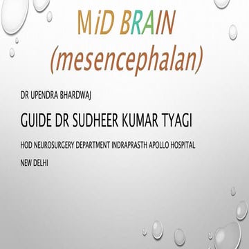 Mid brain | PPTX