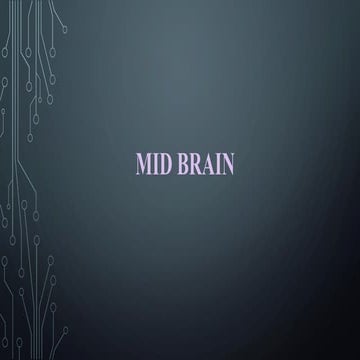 MIDBRAIN basic anatomy and applied aspects. | PPT