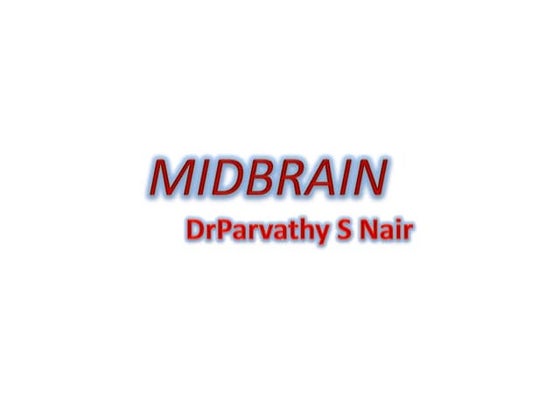 MIDBRAIN basic anatomy and applied aspects. | PPT