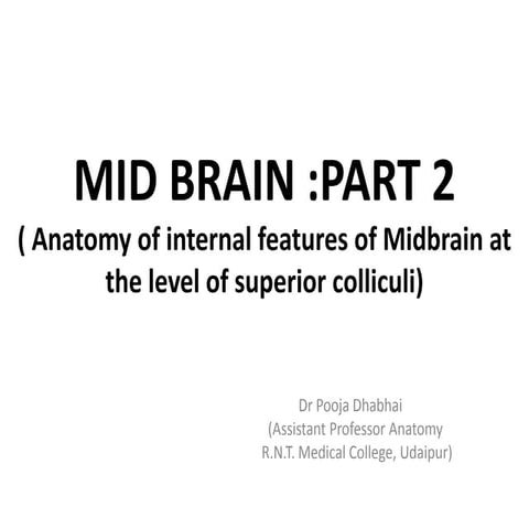 Mid brain part 2 | PPTX