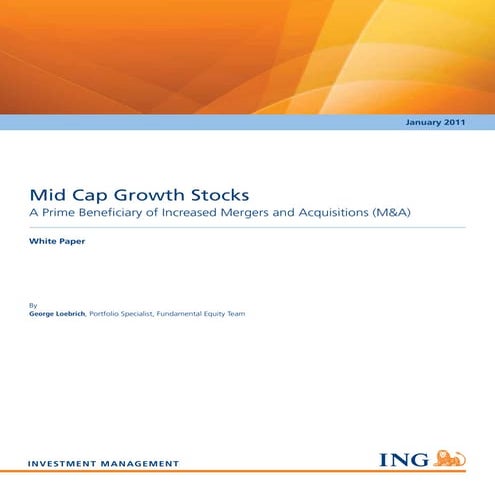 Mid Cap Paper M&A | PDF