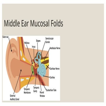 Middle-Ear-Mucosal-Folds-The-Hidden-Microarchitecture.pptx