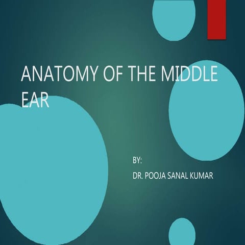 Anatomy of the middle ear, Blood supply, Nerve supply | PPTX