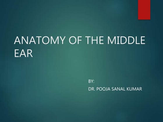 Anatomy of external ear | PPT