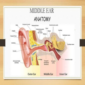 MIDDLE EAR ANATOMY OTORHINOLARYNGOLOGY.pptx