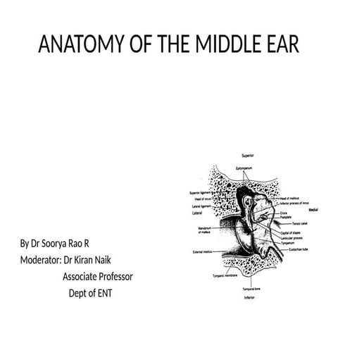 Endoscopic anatomy of middle ear.jshpptx | PPTX