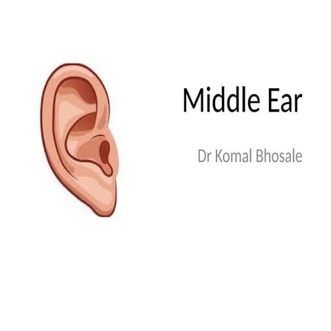 Anatomy of the middle ear | PPT
