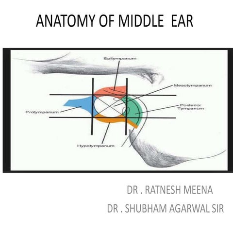 Middle ear__anatom_ytuesday[1] | PPTX