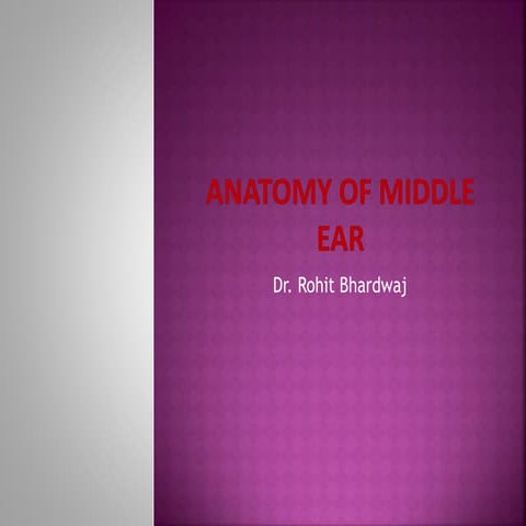 Middle ear anatomy | PPTX