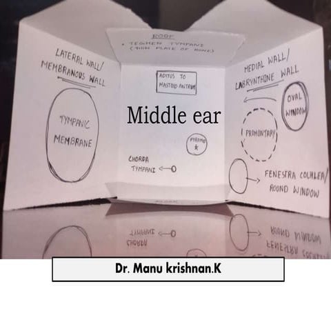 Middle ear cavity(with handmade illustrations) | PPTX