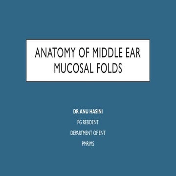 Anatomy and Overview of Middle Ear Mucosal Folds | PPTX
