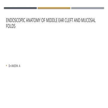 middle ear spaces and mucosal folds.pptx