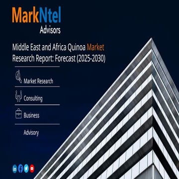Middle East and Africa Quinoa Market Research Report Forecast (2025 ...