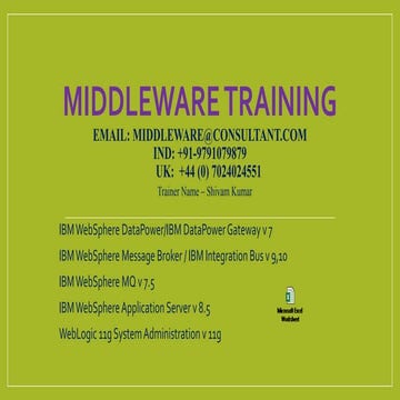 Command Central Overview | PDF