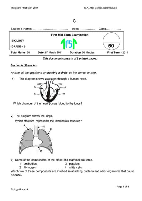 Grade 8 biology term2 2012