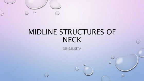 Anatomy head and neck(norma frontalis) | PDF