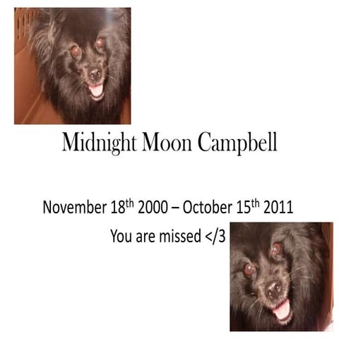 Midnight Moon - R.I.P | PPTX
