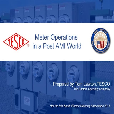 Meter Operations in a Post AMI World | PPT