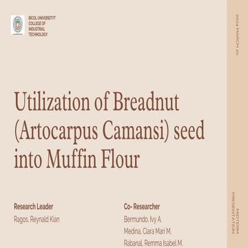 MIDTERM-utilization of breadnut (artocar | PDF