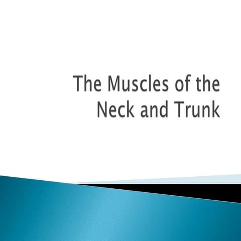 Neck & trunk rom measurement | PPT