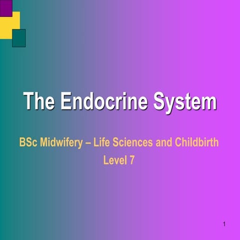 Endocrine system | PPT