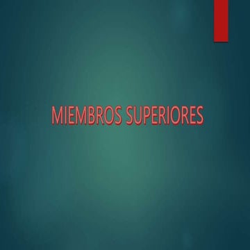 Miembros Superiores